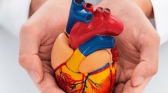 Endocardite: entenda o que é a causa da condição | Rede Américas